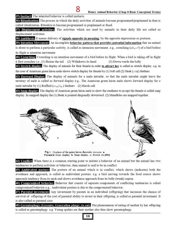 Animal Behavior (Ethology) - Honey Books