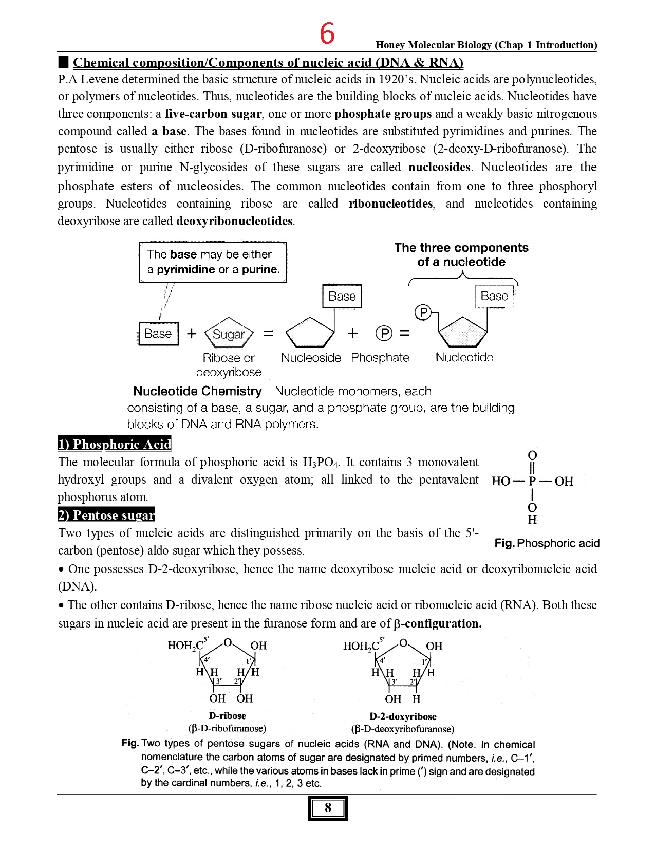 Molecular Biology_ADS/B.S. - Honey Books